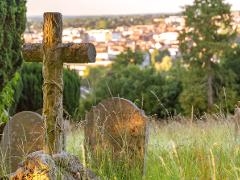 The Mount Cemetery - Guildford Borough Council