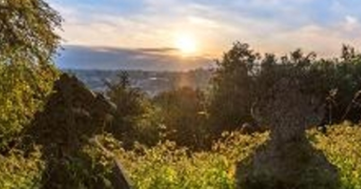 The Mount Cemetery - Guildford Borough Council