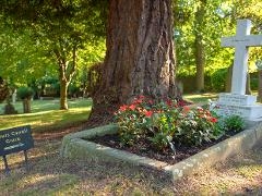 The Mount Cemetery - Guildford Borough Council