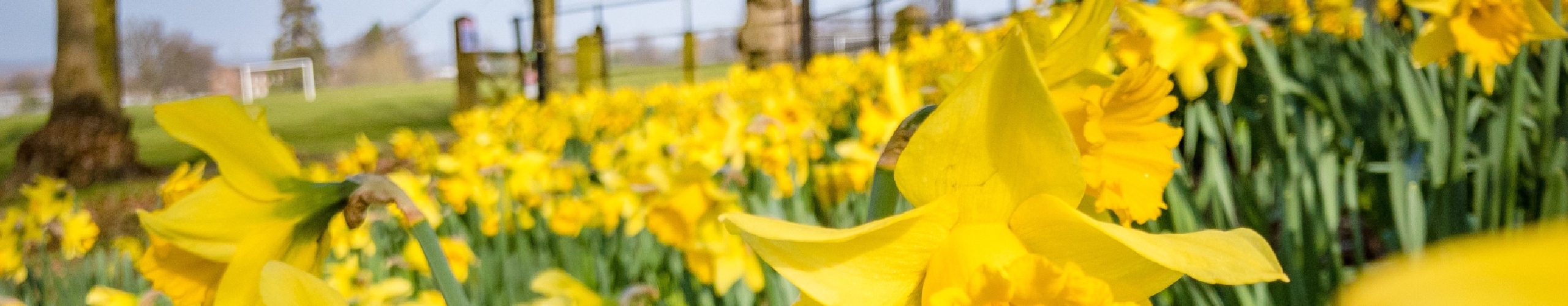 Guildford Home Page - Guildford Borough Council