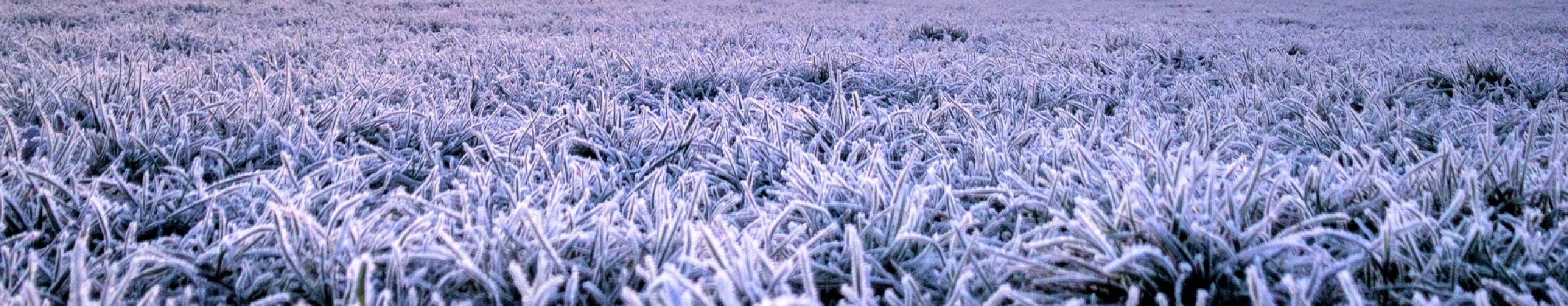 Guildford Home Page - Guildford Borough Council