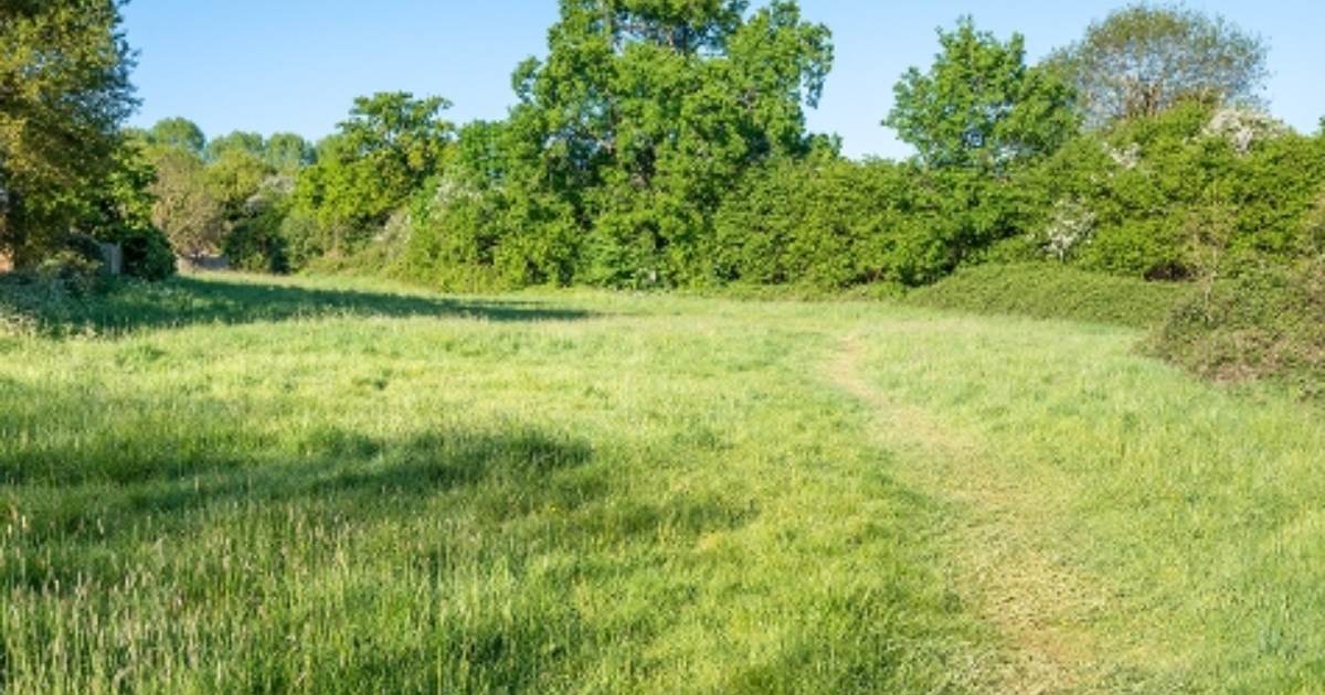 Our climate action scorecard 2023 - Guildford Borough Council